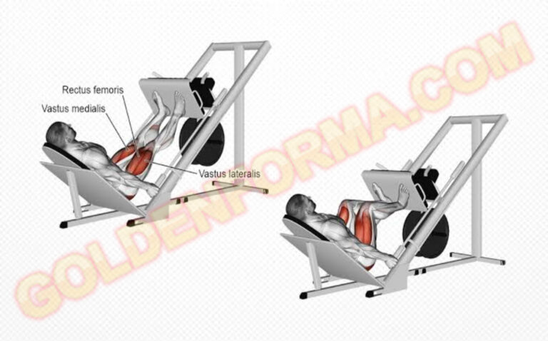 جدول تمارين Push Pull Legs للاسبوع بالكامل (تحديث)