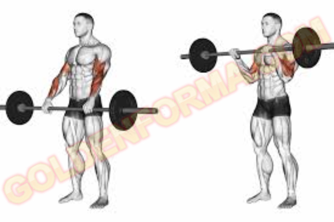 جدول تمارين Push Pull Legs للاسبوع بالكامل (تحديث)